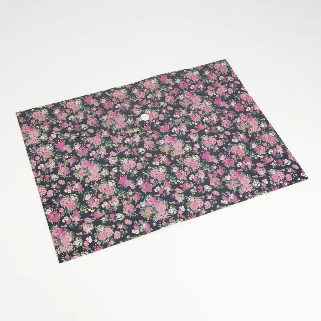 Buckle file pocket
